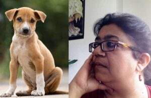 ‘Indians Prefer Pedigree Dogs But Know Little About Pet Ownership ...